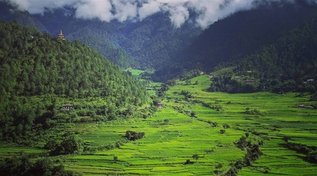 Jigme Dorji National Park | InstaHop
